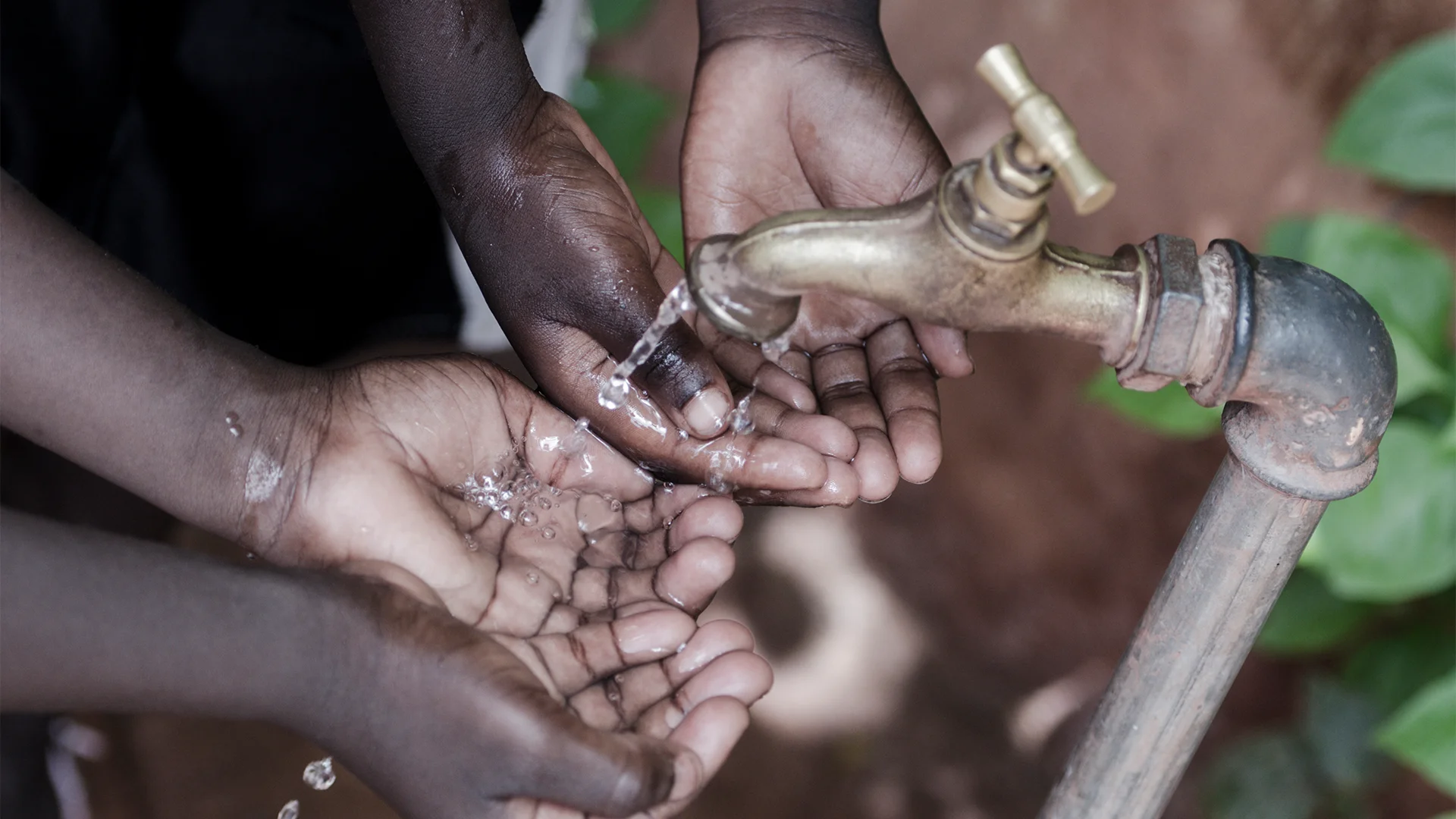 Sustainability - Elim Africa